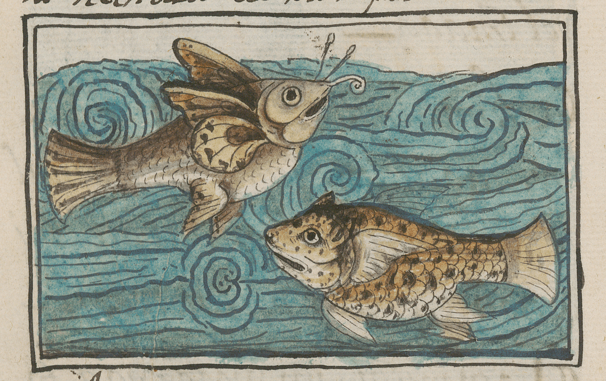 Digital Florentine Codex