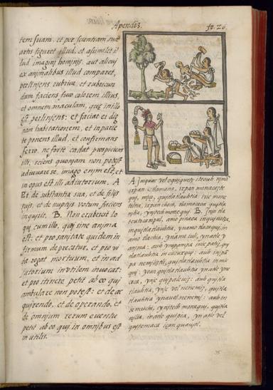 Book 1 Folio 26r | Digital Florentine Codex'