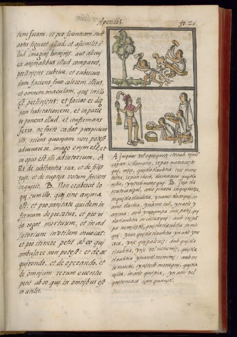 Book 1 Folio 26r | Digital Florentine Codex'