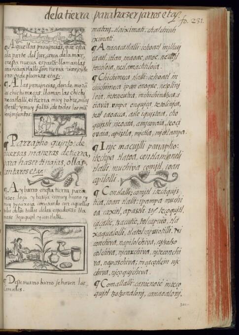 Book 11 Folio 231r | Digital Florentine Codex'
