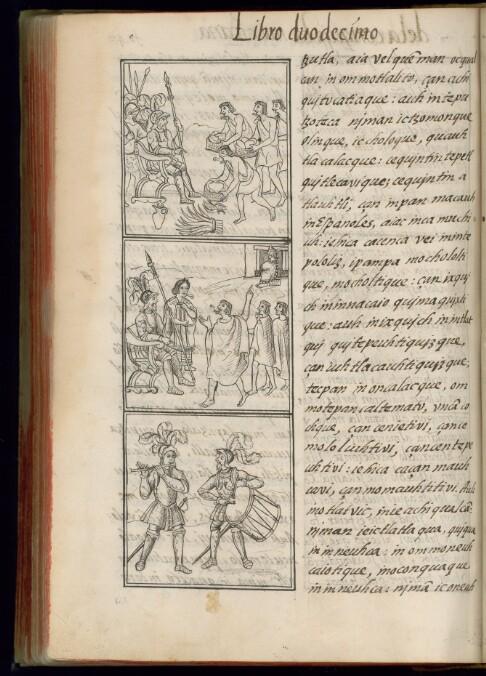 Book 12 Folio 47v | Digital Florentine Codex'